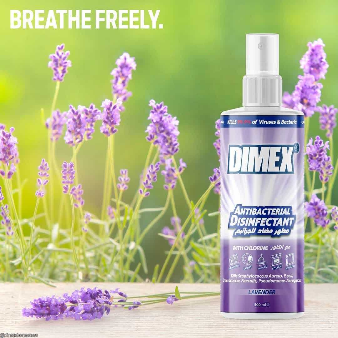 Deal.com.lb | Best Online Deals In Lebanon. Best Quality Products At ...