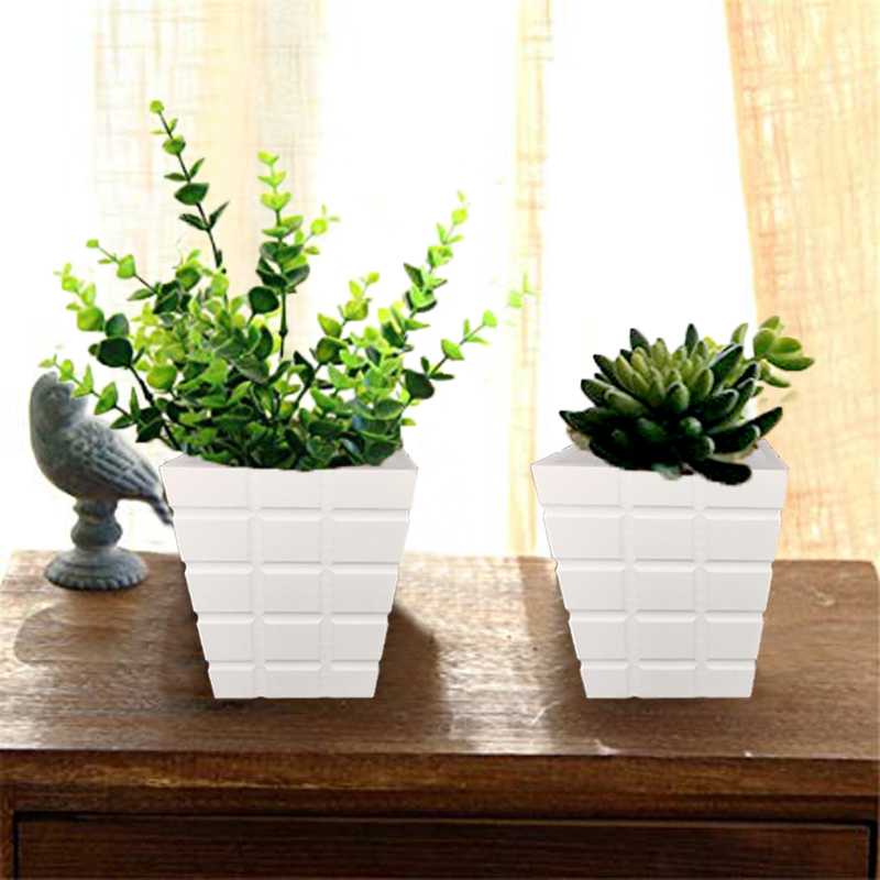 wooden Basin of plants